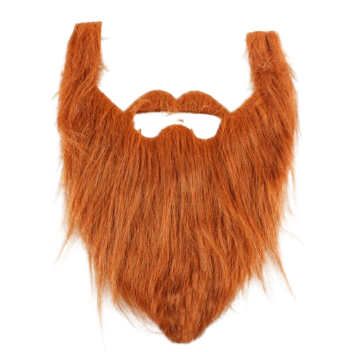 Fausse Barbe Homme | Le Voisin Farceur